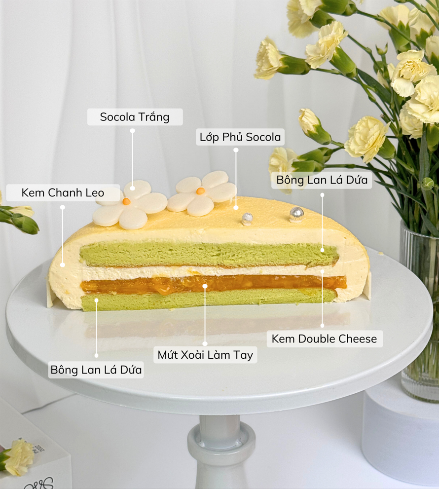 Bánh Entremet: Tinh Hoa Nghệ Thuật Ẩm Thực Cao Cấp - Plantinh - Bánh ...